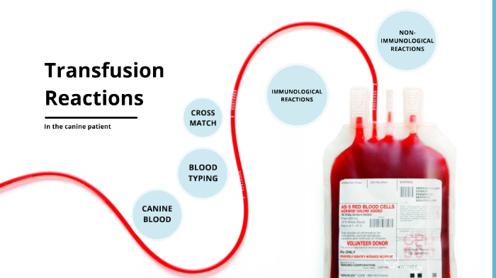 Transfusion reactions by Emma Hoolihan on Prezi
