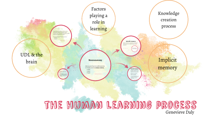 The Human Learning Process by on Prezi