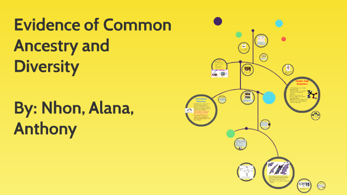 Evidence of Common Ancestry and Diversity by Alana Resendez on Prezi