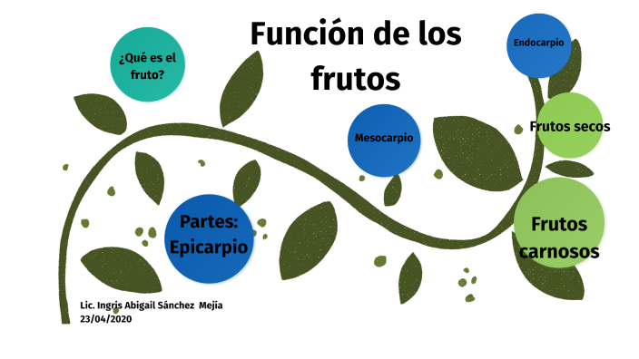 Función de los frutos by Ingris Sanchez on Prezi