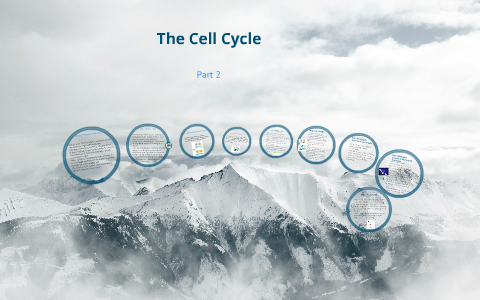 AP Biology Chapter 12: Part 2 by Maura Tierney on Prezi
