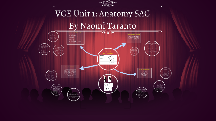 VCE Dance Unit 1 Anatomy SAC Naomi by Naomi Taranto on Prezi