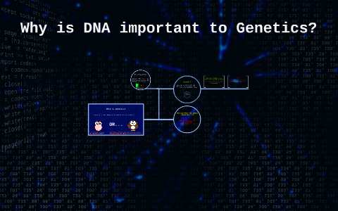Why is DNA important to Genetics? by KCH:DNA LTR on Prezi