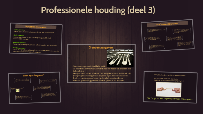 Professionele houding (deel 3) by petra selleslach on Prezi