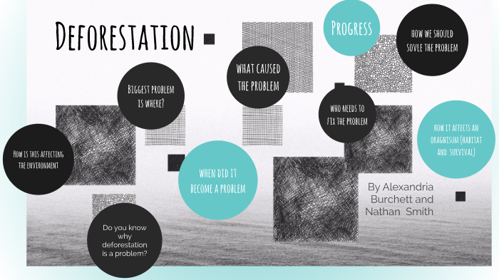 deforestation by alexandria burchett on Prezi