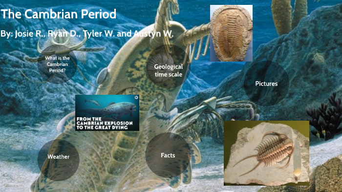 The Cambrian Period by Austyn Wilson on Prezi