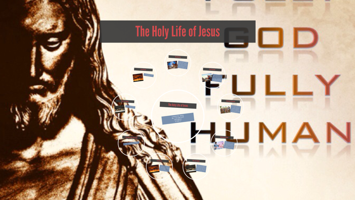 The Holy Life of Jesus by leo wang