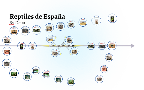 Reptiles de España by Katie Hirv on Prezi