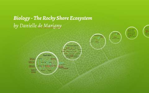 Biology - The Rocky Shore Ecosystem by Danielle de Marigny on Prezi