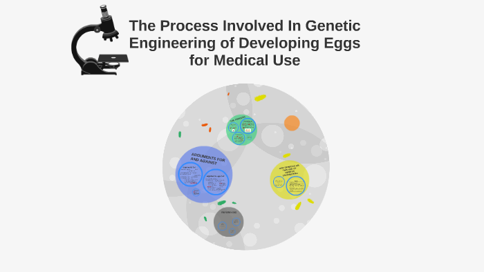 The Process Involved In Genetic Engineering of Developing Eg by izzy watson