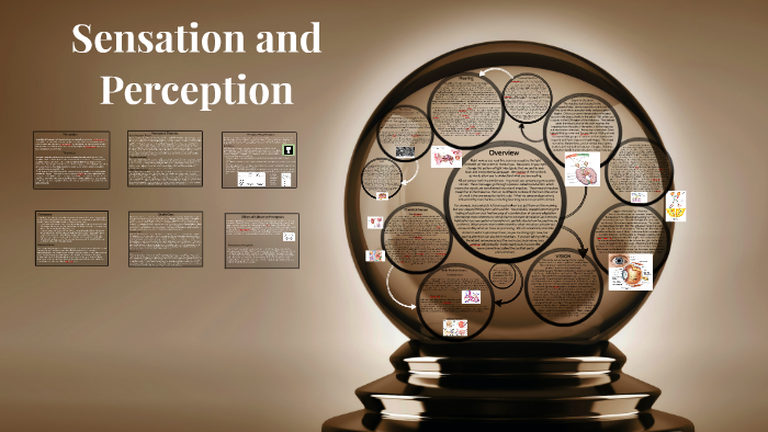 AP Psychology: Sensation and Perception by Katharine Higgins on Prezi