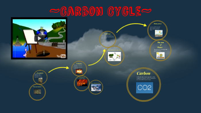 Carbon Cycle by Maranda Jacobs on Prezi