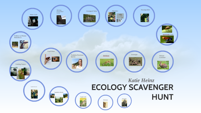 ECOLOGY SCAVENGER HUNT by Katie Heinz on Prezi