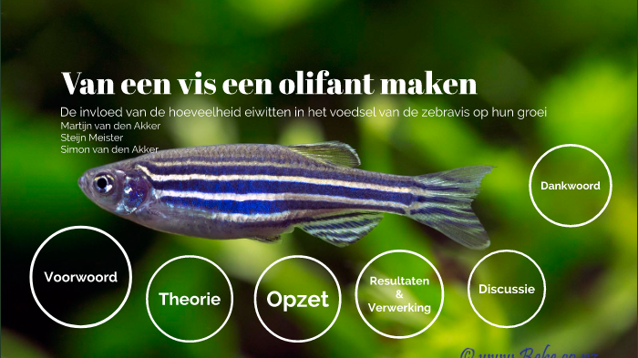 Thesis by Simon van den Akker on Prezi