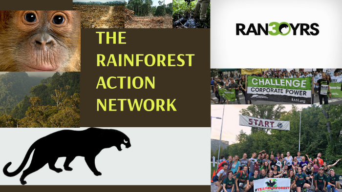 THE RAINFOREST ACTION NETWORK by Jada jonhson on Prezi