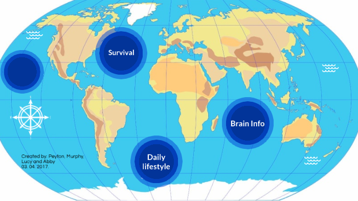 Homo Erectus Poster by Kenpa 24 on Prezi