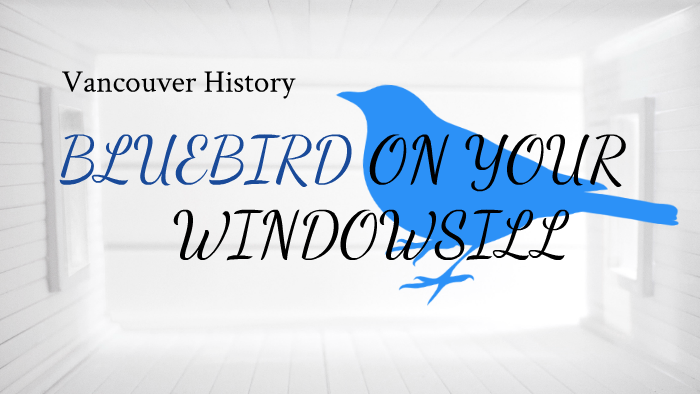 Bluebird on your windowsill by Missy Chen on Prezi