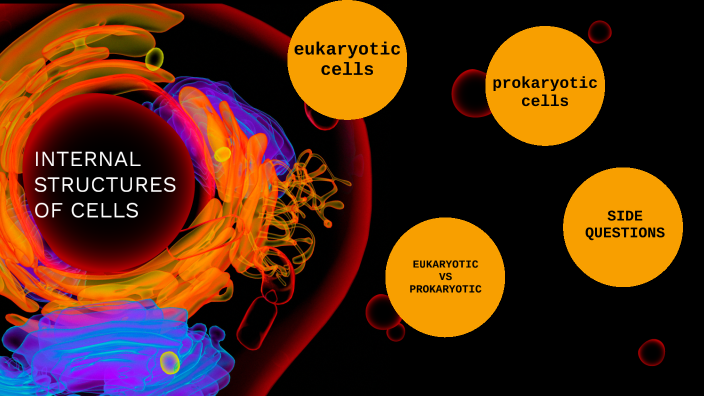 INTERNAL STRUCTURES OF CELLS by tamara alkhayyat on Prezi
