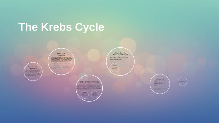 The Krebs Cycle by Carley McDermott on Prezi