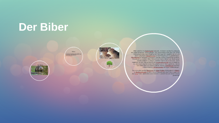Der Biber by Justin Weibel on Prezi