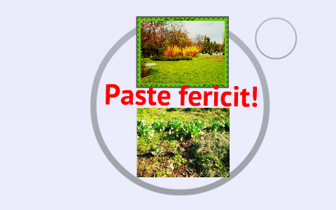 Pastele la romani by negoita luiza