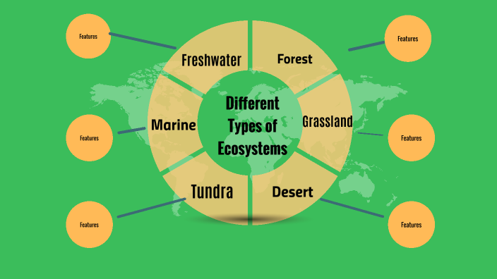 Different Types of Ecosystems by Valentina Velásquez on Prezi