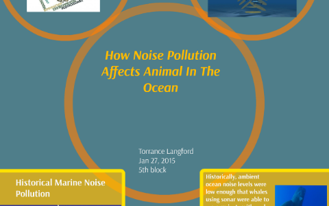 How Noise Pollution Affects Animal In The Ocean by Torrance Langford