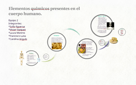 Elementos quimicos presentes en el cuerpo humano. by Sofia Lopez figueroa