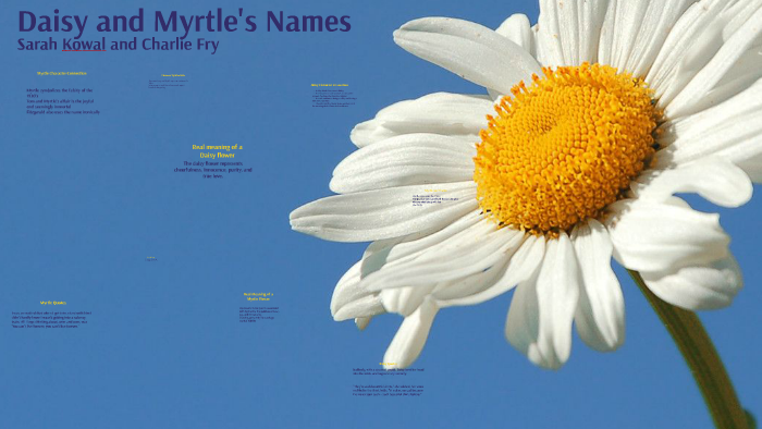 Daisy an Myrtle Names by Charlie Fry on Prezi