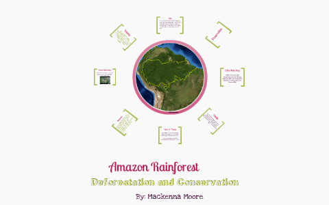 Amazon Rainforest by Mackenna Moore on Prezi