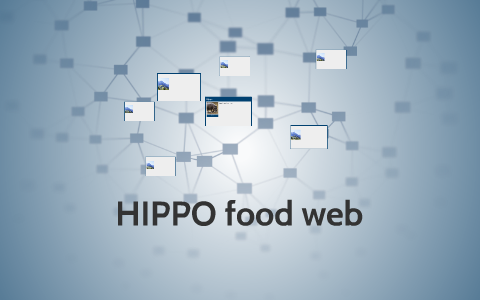 HIPPO food web by bob billy on Prezi
