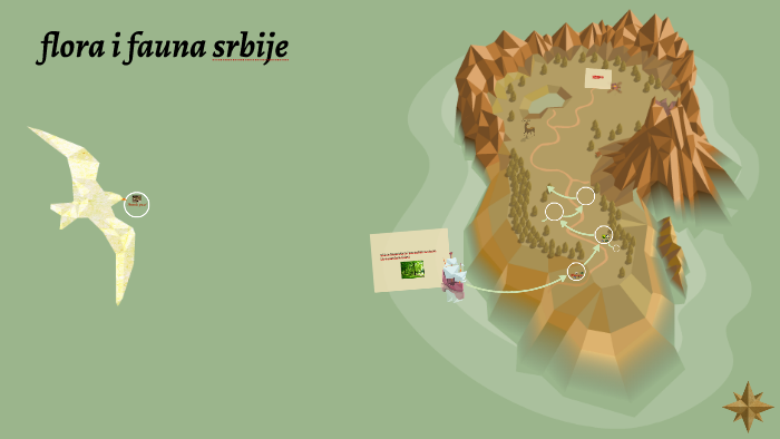 flora i fauna srbije by Daniela Pap-Lazarov on Prezi