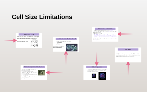 Cell Size Limitations by Becky Buesgens on Prezi