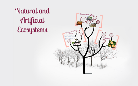 Natural and Artificial Ecosystems by Bertie Charman on Prezi