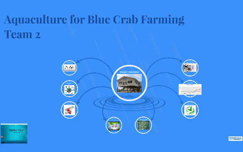 Aquaculture for Blue Crab Farming by Baldeep Gandhi on Prezi