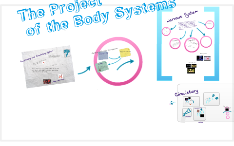 Interrelationships of the Body Systems by University School on Prezi