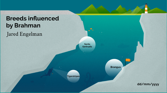 Breeds influenced by The Brahman breed by Jared Engelman on Prezi