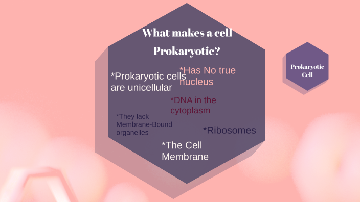 Cell Menu Project: Main course by Gracie Knussmann on Prezi