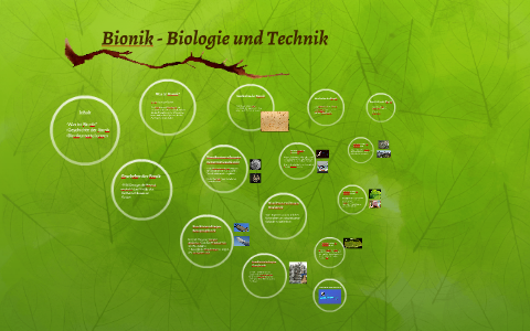 Bionik - Biologie und Technik by Tom Schünemann on Prezi
