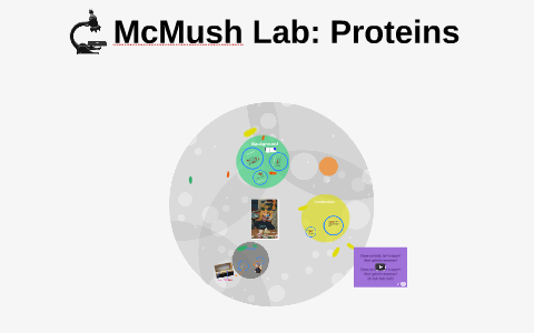 McMush Lab: Proteins by on Prezi