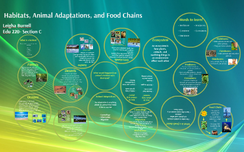 Habitats, Animal Adaptations, and Food Chains by leigha burrell on Prezi