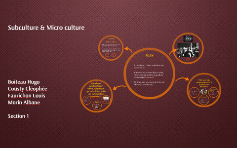 Microculture and Subculture by Cléophée Cousty on Prezi