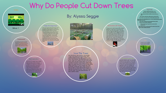 Why Do People Cut Down Trees by alyssa seggie on Prezi