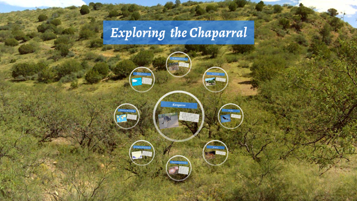 Exploring the Chaparral Biome by David Angus on Prezi