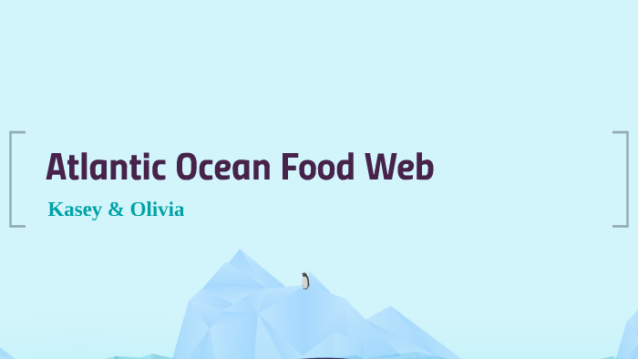 Atlantic Ocean Food web by Olivia Thomas on Prezi