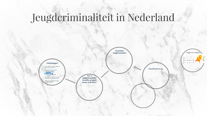 Jeugdcriminaliteit in Nederland by Romy van Lieshout