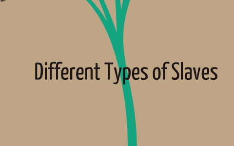 Different Types of Slaves by Katherine Tran on Prezi
