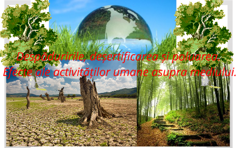 Despăduririle, deșertificarea și poluarea. Efecte ale activităților ...