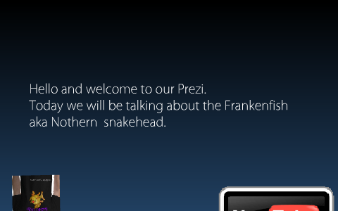 SNAKE-HEAD FISH aka FRANKEN-FISH by Alicia Marques on Prezi