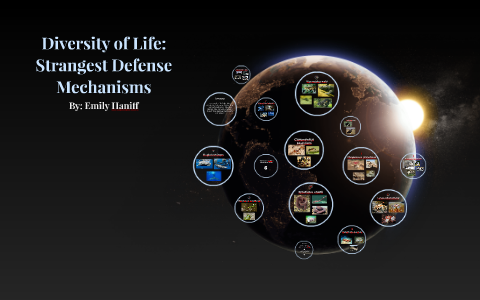 Diversity of Life: Strange Defence Mechanisms by emily haniff on Prezi